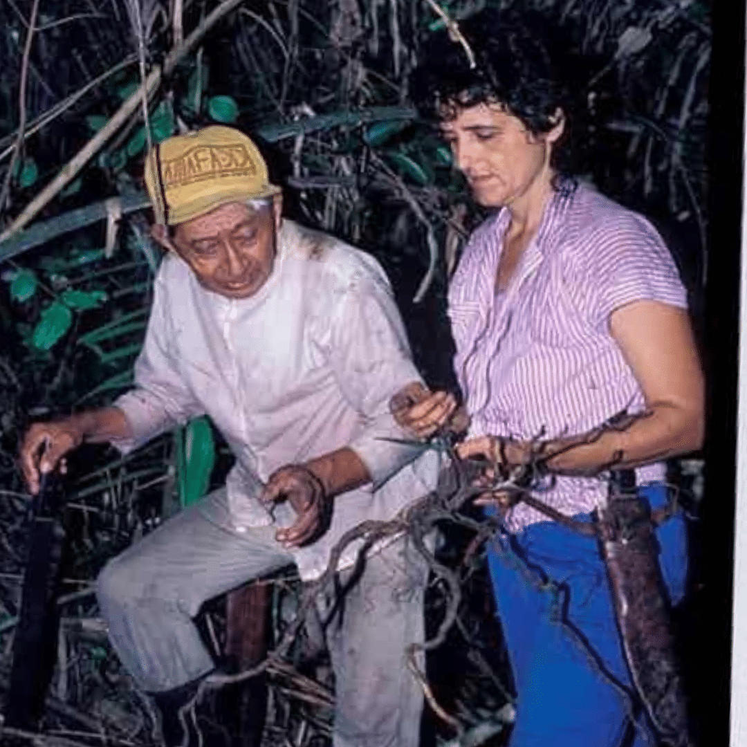 Pelvic Health Summit - Your Sacred Pelvis